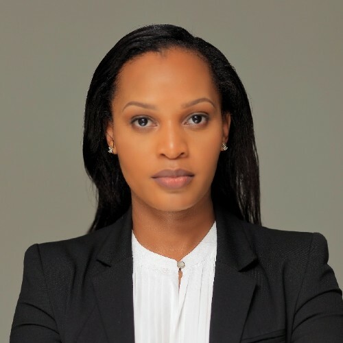 The Team | The Lightbulb Journal